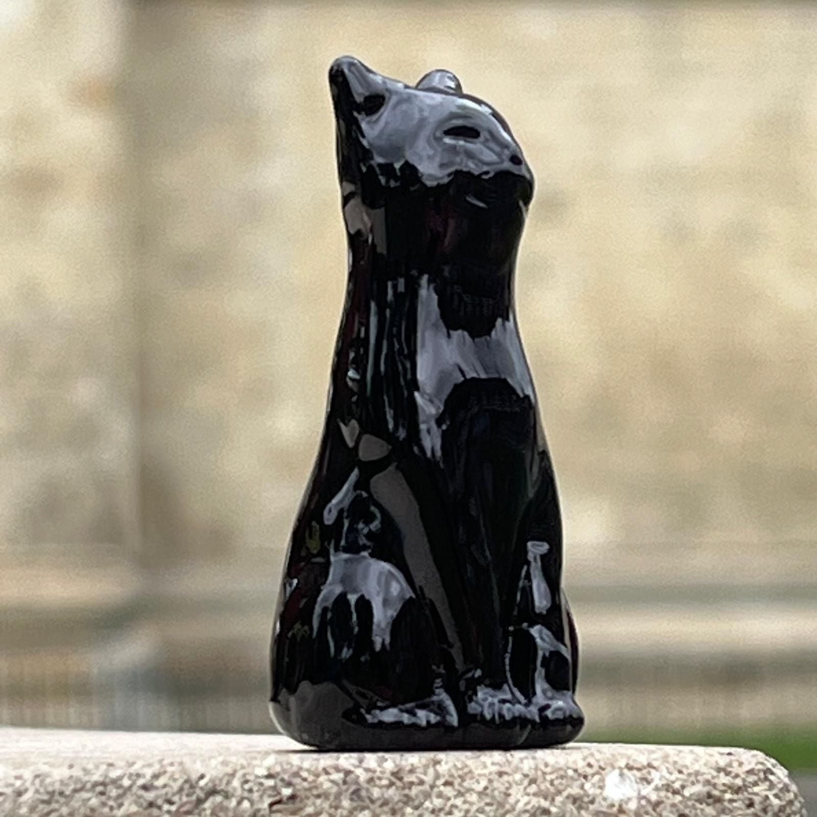 Black lucky cat store